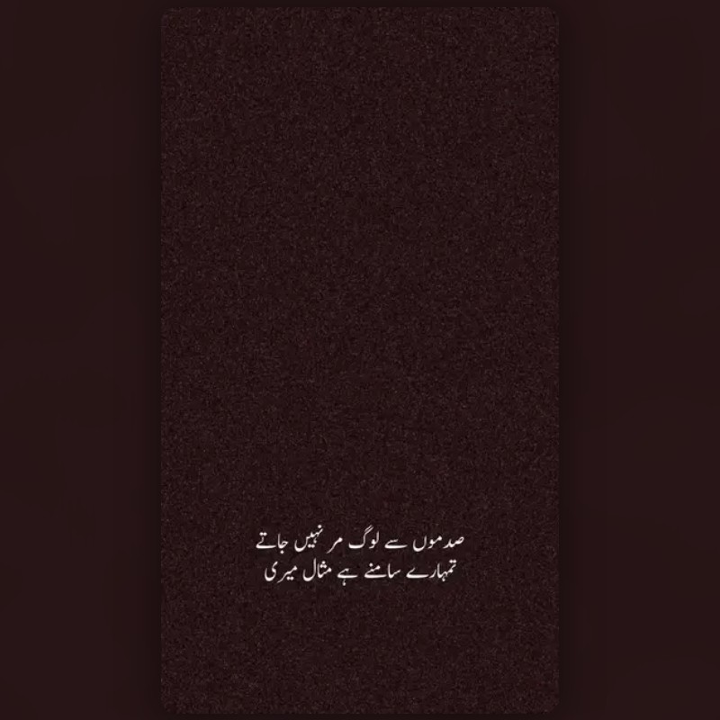 Urdu Sad Poetry Lens by MiiR Momin Dahri - Snapchat Lenses and Filters