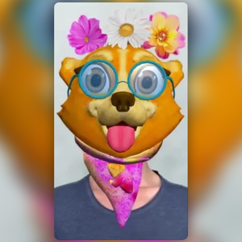 Corgi Filter by Nickelodeon 🧡 | Snapchat Lenses