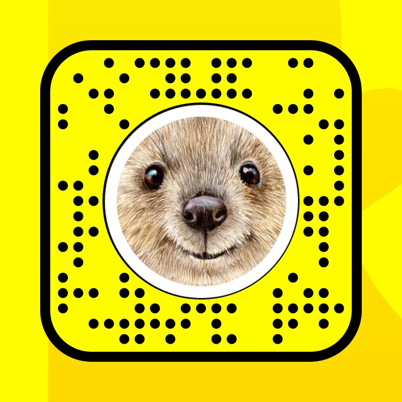2D Objects Lens by Jay Spahr - Snapchat Lenses and Filters