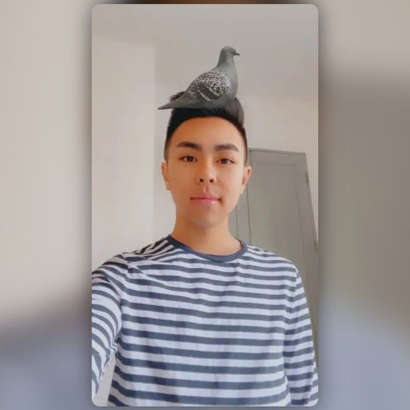 Pigeon on Head Lens by Snapchat - Snapchat Lenses and Filters