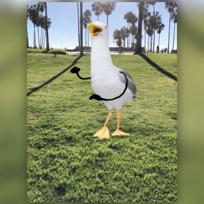 เลนส์ Laughing Seagull สร้างโดย Snapchat - เลนส์และฟิลเตอร์ Snapchat