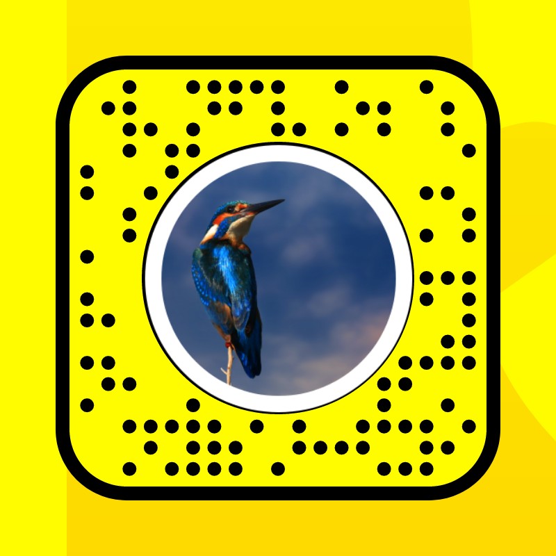 birds walpaper Lens by Harjeet Sidhu 👨🏻‍🎓 - Snapchat Lenses and Filters