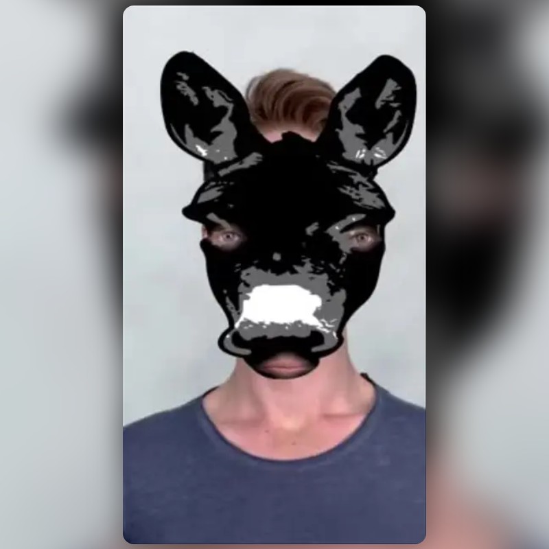 Donkey head Filter by Josh Rosenblum | Snapchat Lenses