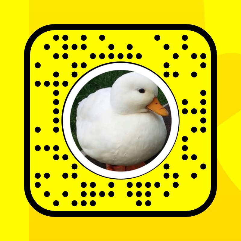 Cute Duck Lens by Manu - Snapchat Lenses and Filters