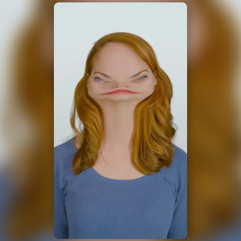 face transformer Lens by Olaf Ulijn - Snapchat Lenses and Filters