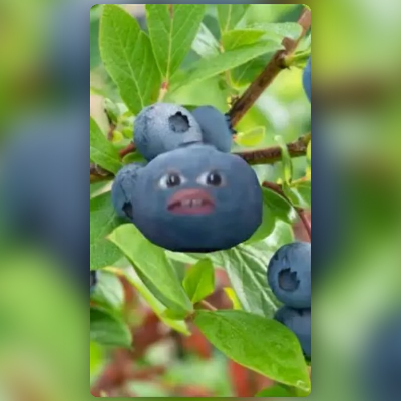 Blueberry Head Lens by Marco - Snapchat Lenses and Filters