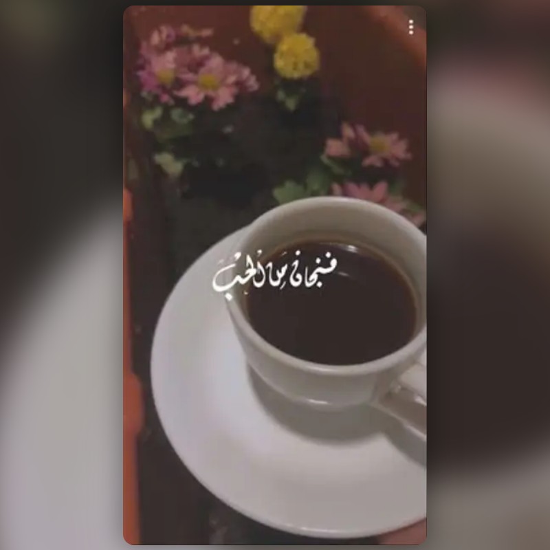 Tea Filter by رَونا﴾. | Snapchat Lenses
