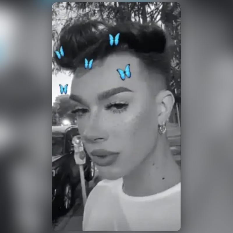 blue butterflies Lens by andre - Snapchat Lenses and Filters